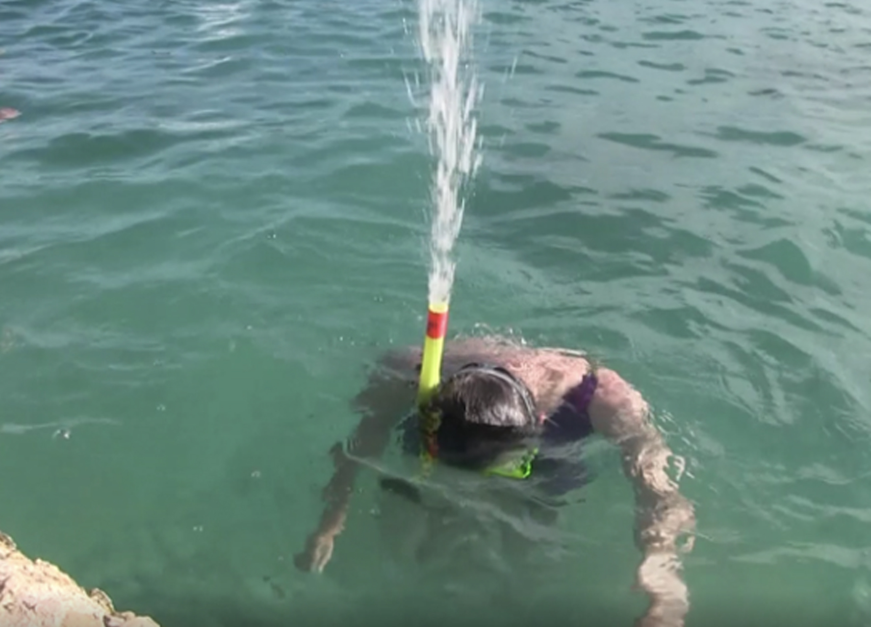 Snorkelling Tips – Sea Stuff