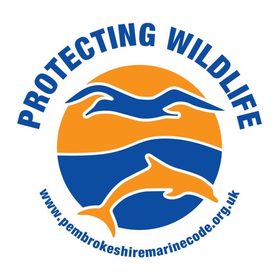 Protecting The Ocean – Sea Stuff